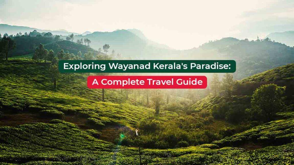 Exploring Wayanad Kerala's Paradise: A Complete Travel Guide